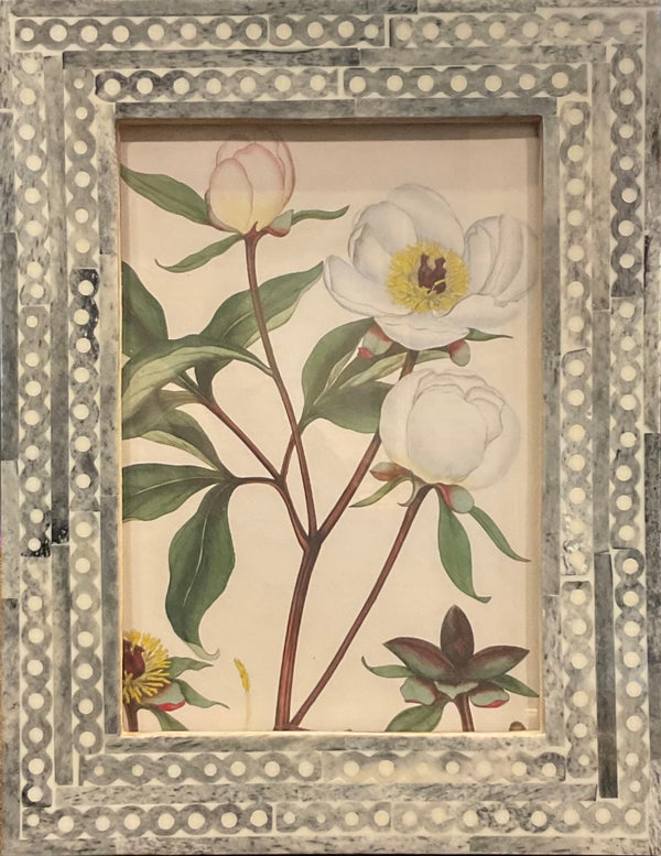 Bone Frame – De Gerenday's